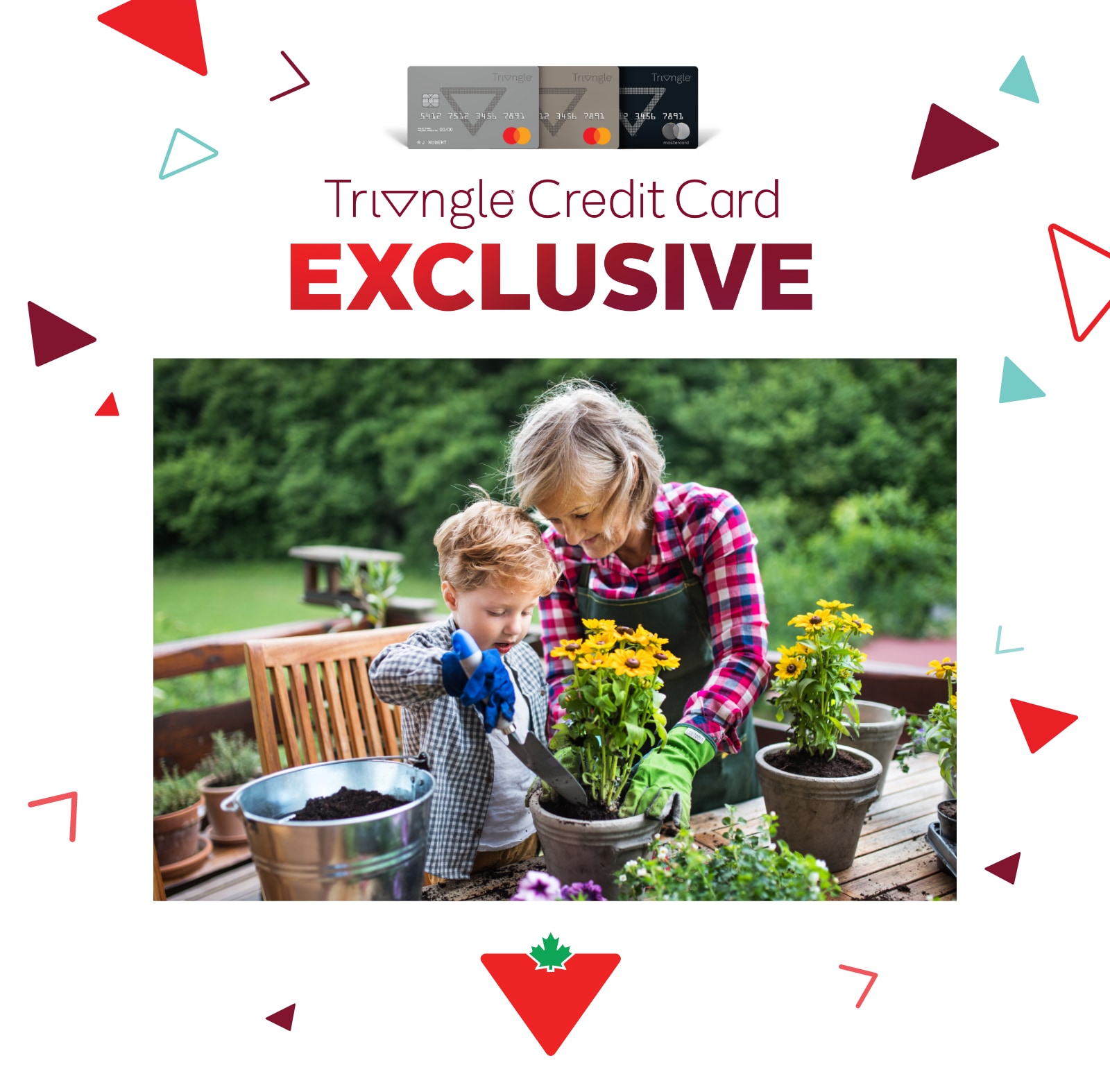 Triangle Credit Card Exclusive | Triangle